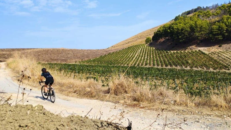 Castellammare del Golfo: E-Bike Tour to Segesta Temple - Key Points