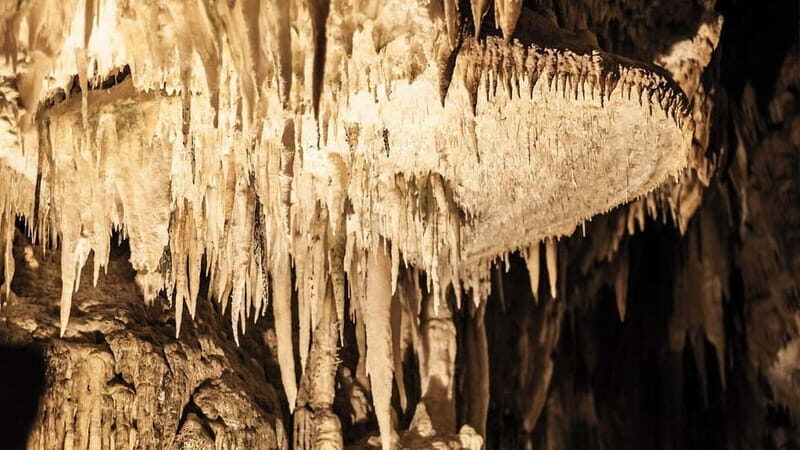 Castellana Caves Guided Tour - Why the Castellana Caves Tour Offers More Than Just a Visit