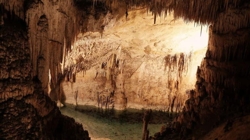 Castellana Caves Guided Tour - The Value of the Experience