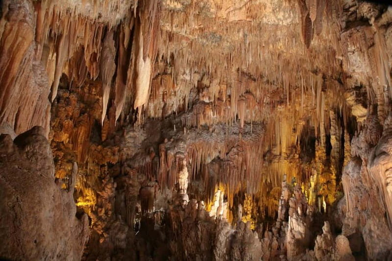 Castellana Caves & Polignano by Boat from Bari and Polignano - Cost and Value