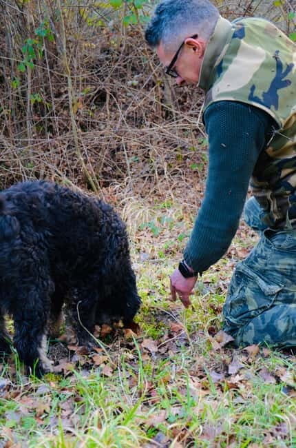 Castellina in Chianti: Truffle Search, Wine Tasting & Lunch - Practical Details & Value