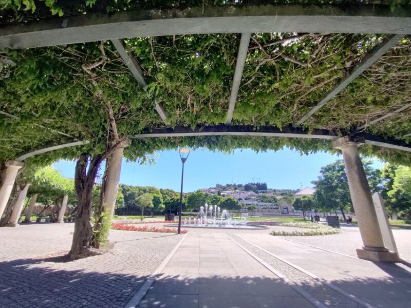Castelo Branco: Culture and History Guided Tour with Museums - Who Will Enjoy This Tour Most?