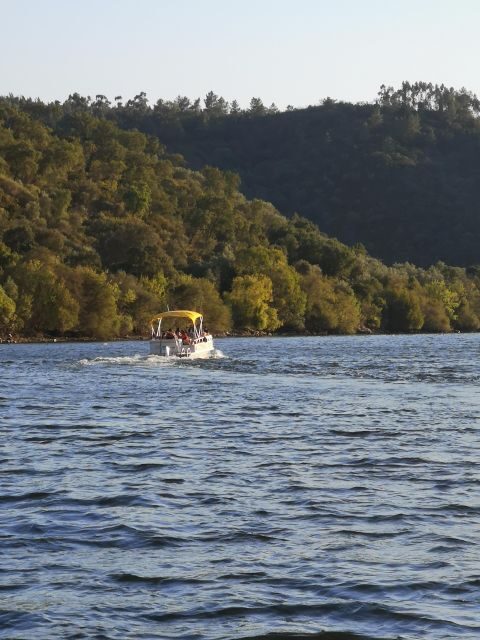 Castelo Branco: Portas de Ródão Natural Monument Boat Trip - Value and Pricing