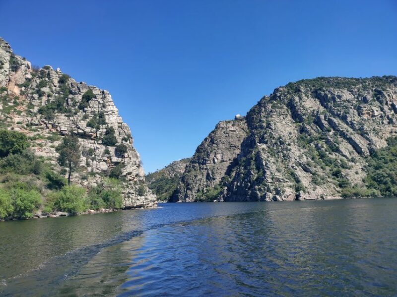 Castelo Branco: Portas de Ródão Natural Monument Boat Trip - Who Would Love This Tour?