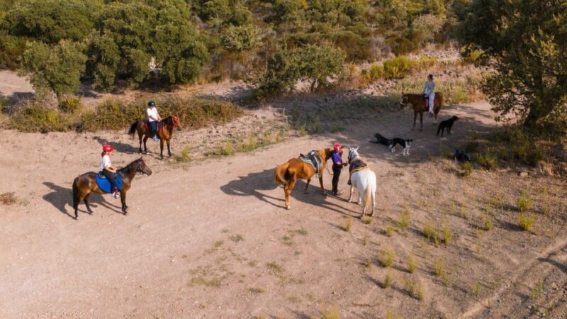 Castelsardo: horseback in Sedini - Key Points