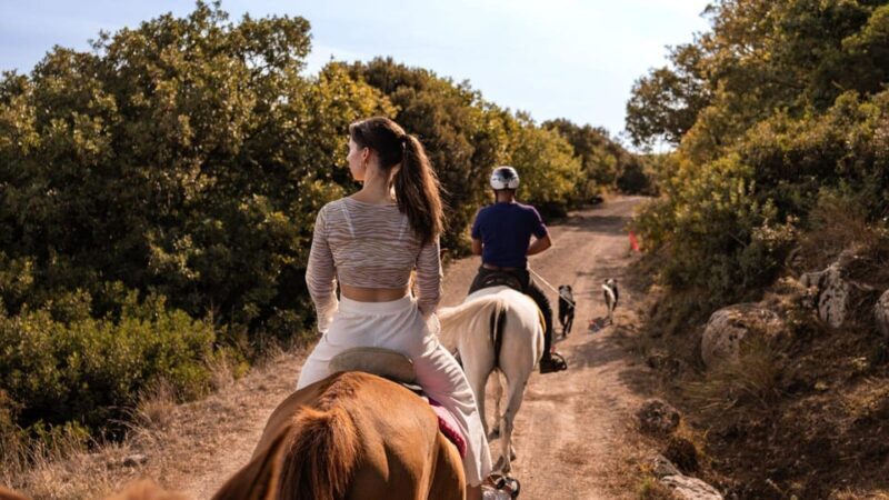 Castelsardo: horseback in Sedini - Exploring Sardinia from the Saddle: A Detailed Look