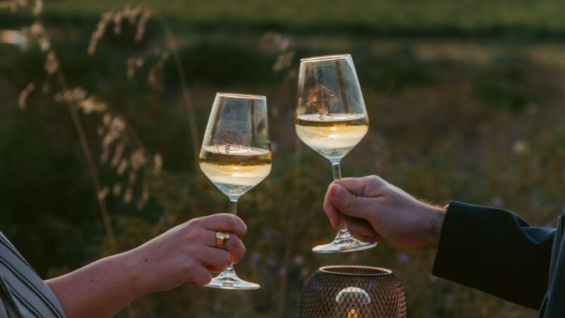 Castelsardo: visit a vineyard with wine tasting at sunset - Why This Tour Stands Out