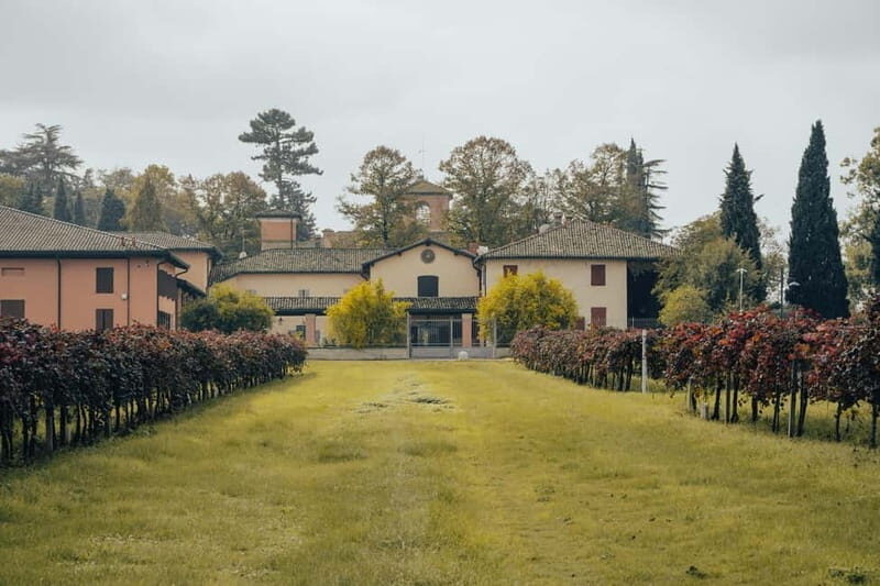 Castelvetro: winery tour and Lambrusco tasting - An In-Depth Look at the Castelvetro Winery Tour and Lambrusco Experience