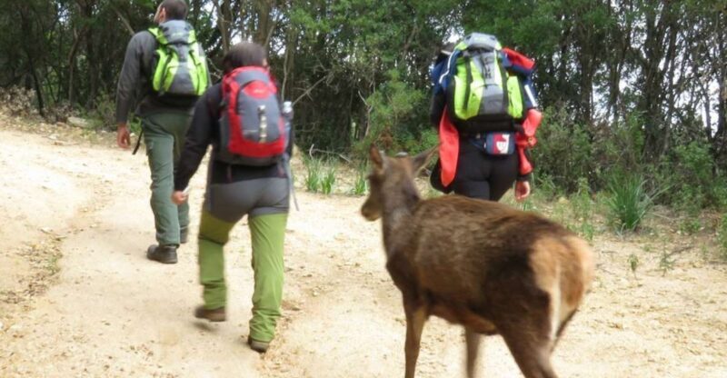 Castiadas: trekking in the S'Acqua Callenti forest - Key Points