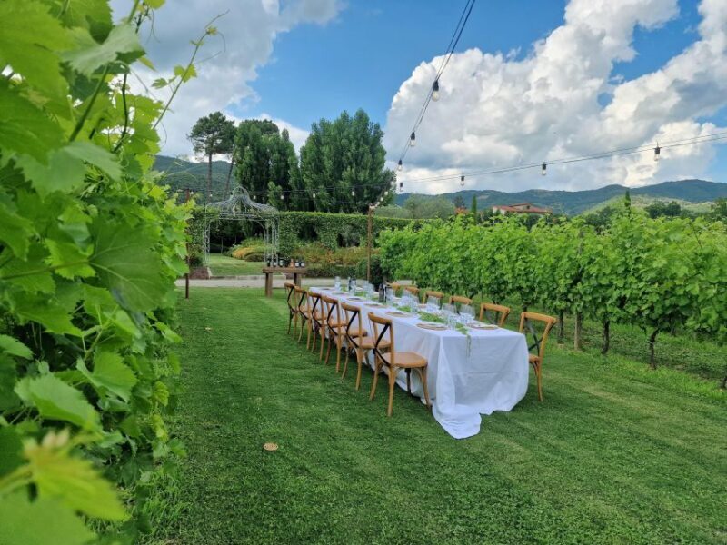 Castiglion Fiorentino: Buccelletti Wine Flight - Introduction