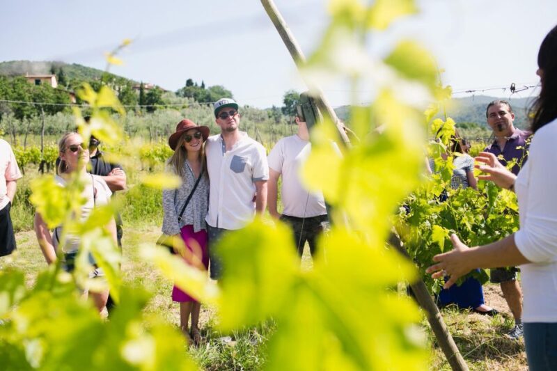 Castiglion Fiorentino: Buccelletti Wine Flight - The Itinerary in Detail