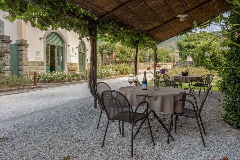 Castiglion Fiorentino: Wine Tasting and Charcuterie Board - Key Points
