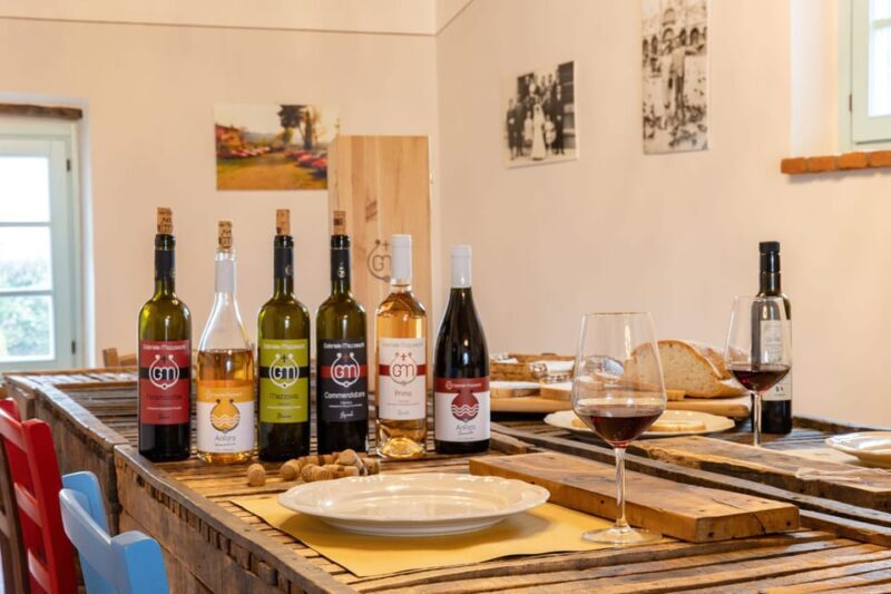 Castiglion Fiorentino: wine tasting with guided tour - The Experience in Detail