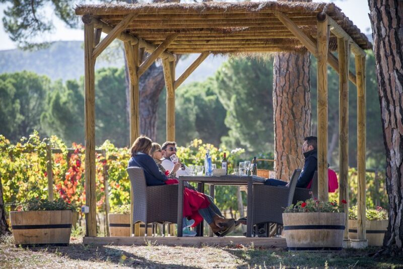 Castille and León: Vineyard Tour with Wine Tasting - Key Points