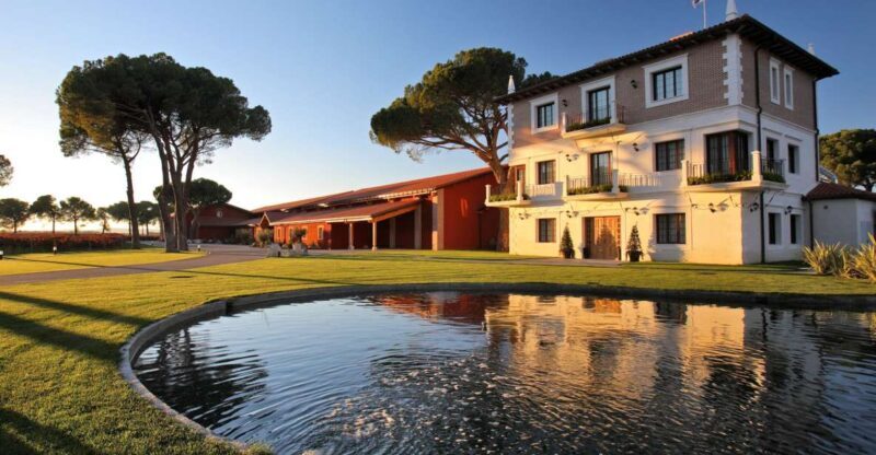 Castille and León: Vineyard Tour with Wine Tasting - Final Thoughts: Is It Worth Your Time?