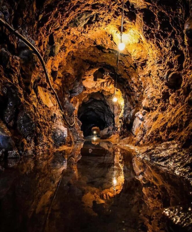 Castillo Tequila: Luxury History and Premium Sensory Tasting - Castillo Tequila: Luxury History and Premium Sensory Tasting