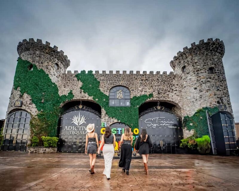 Castillo Tequila: Luxury History and Premium Sensory Tasting - Key Points