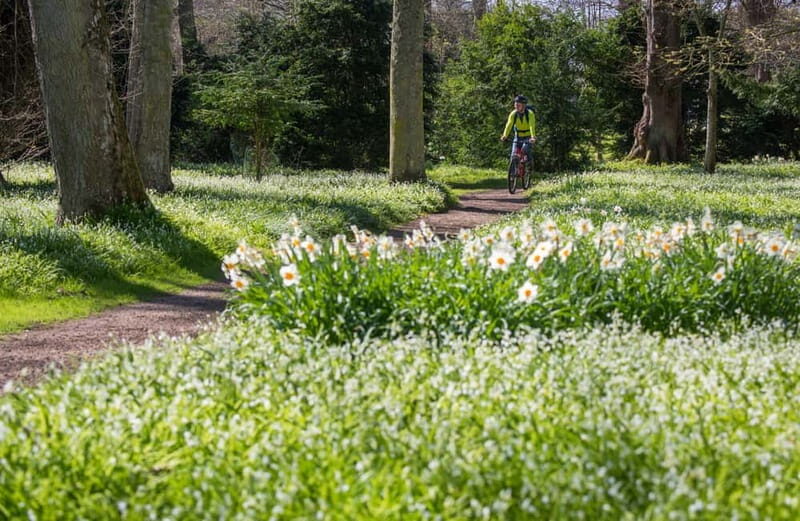 Castle, Gardens & Grounds Ticket - Who Will Love This Experience?