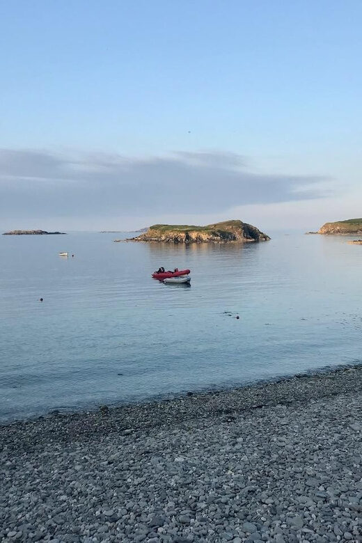 Castlehaven: Placenames Walking Tour with Artisan Picnic - Who Should Consider This Tour?