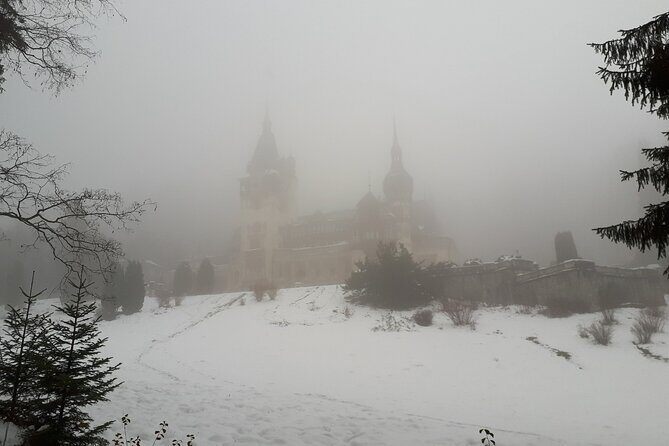 Castles Day Tour Peles - Bran - Rasnov from Brasov - A Closer Look at the Itinerary