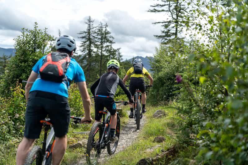 Castlewellan:Electric Mountain Biking Experience - Detailed Breakdown of the Experience