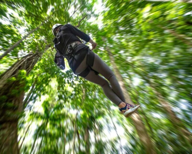 Castries, St. Lucia - Adrenaline Zipline - The Itinerary: What to Expect on the Rainforest Adventure