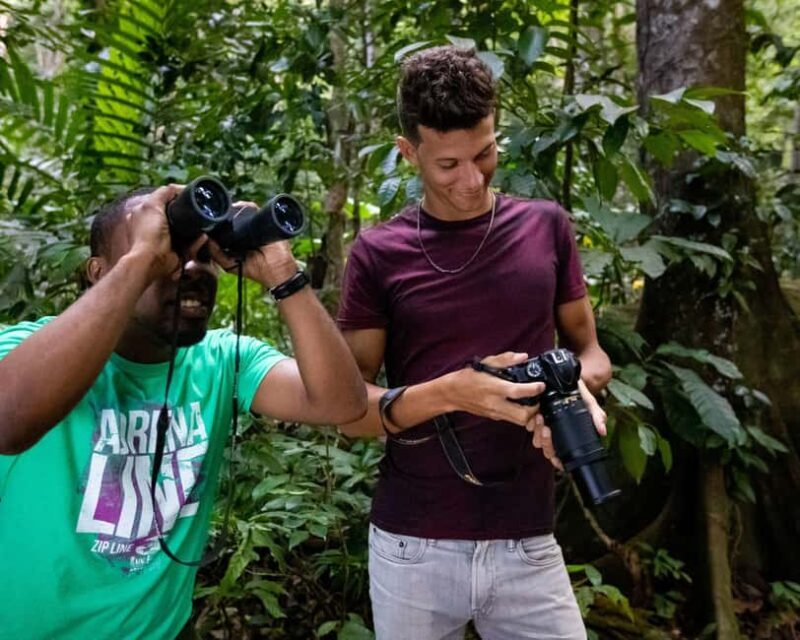 Castries, St. Lucia  Guided Birdwatching Tour - Final Thoughts