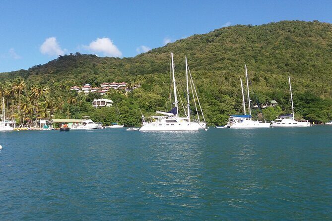 Castries to Marigot Bay 3 hour Land and Sea Tour - Who Should Consider This Tour?