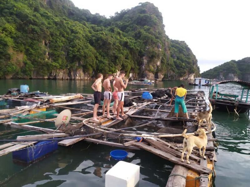Cat Ba: 2-Day Lan Ha Bay Cruise with Plankton Excursion - Who is This Tour Best For?
