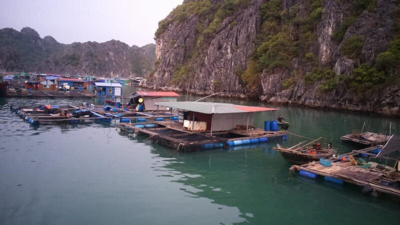 Cat Ba: 2-Day Lan Ha Bay Cruise with Plankton Excursion - Key Points