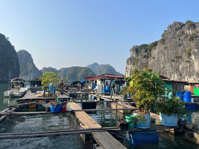 Cat Ba: 2-Day Lan Ha Bay Cruise with Plankton Excursion - Engaging with Local Life and Unique Activities