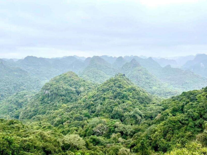 Cat Ba 2 days trip: Luxury cruise, national park & beach - An In-Depth Look at the 2-Day Cat Ba Tour