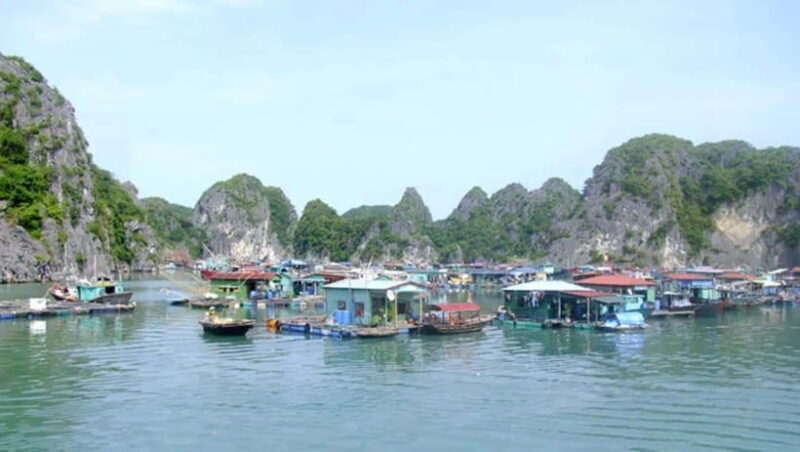 Cat Ba 2 days trip: Luxury cruise, national park & beach - Final Thoughts