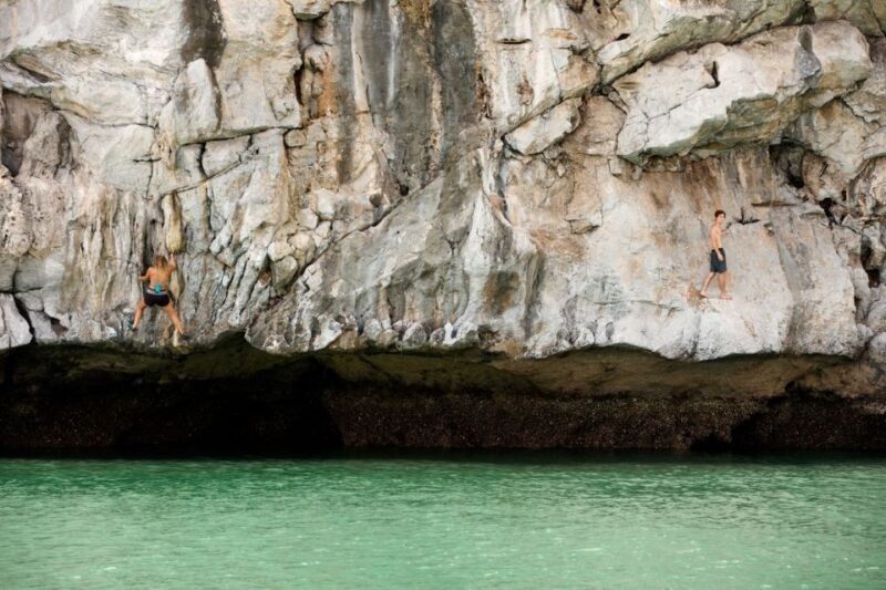 Cat Ba: Advanced Rock Climbing & Cliff Jumping Boat Tour - Who Will Love This Tour?