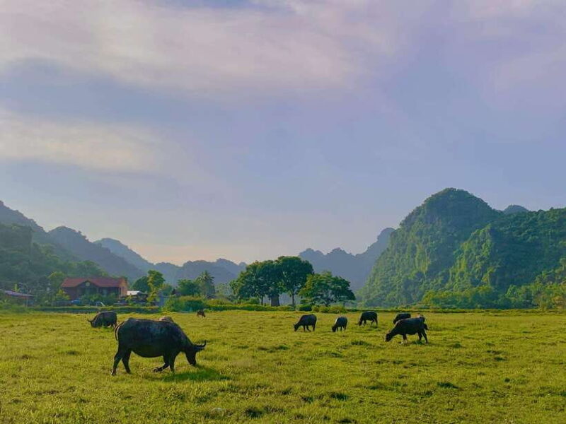 Cat Ba beauties both day and night, both park and bay - Who Will Love This Tour?