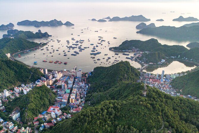 Cat Ba Cruise 2D1N With Option Pick up From Hanoi. - Who Should Consider This Tour?