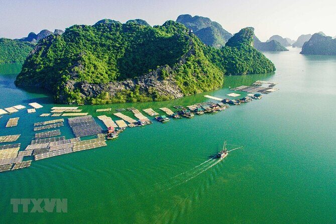 Cat Ba Cruise 2D1N With Option Pick up From Hanoi. - Final Thoughts