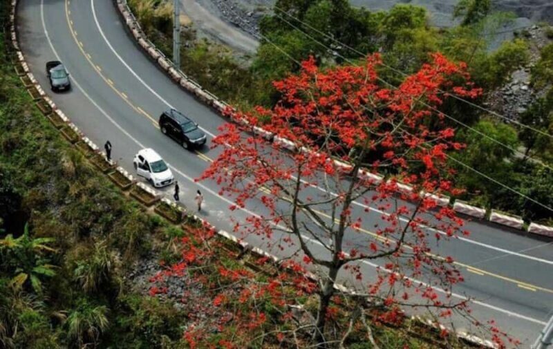 Cat Ba: E-Bike Rental  Easy & Eco Way to Explore the Island - FAQ