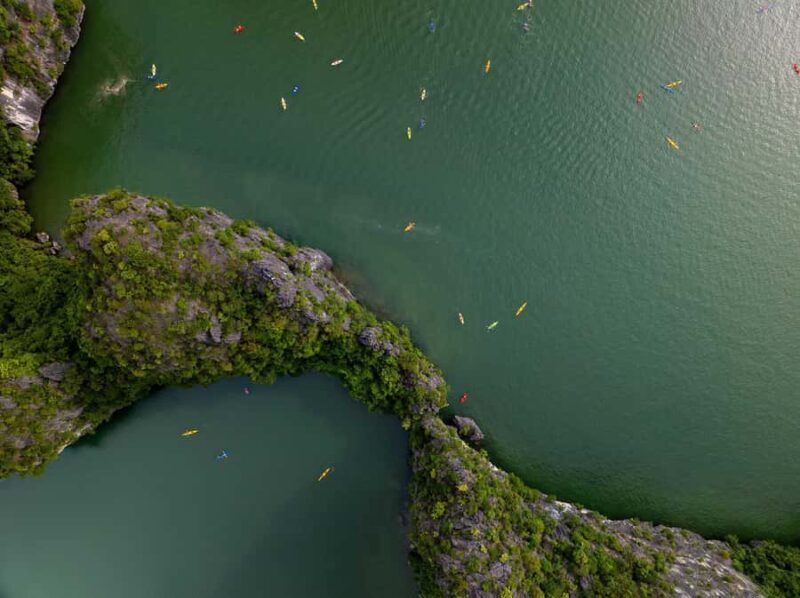 Cat Ba Full Moon Cruise: Lan Ha - Halong Bay - Monkey island - Why This Tour Delivers Great Value