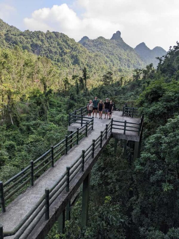 Cat Ba: Half Day Trekking to Visit Cat Ba National Park - Key Points