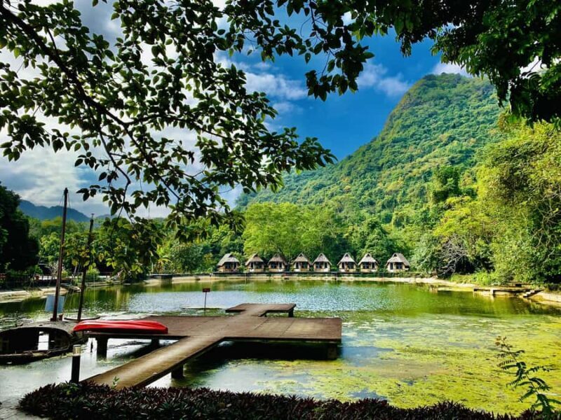 Cat Ba: Half Day Trekking to Visit Cat Ba National Park - What Visitors Are Saying