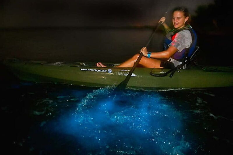 Cat Ba Island: 2 Days Lan Ha Bay - hiking, biking, kayaking - Who Will Love This Tour?