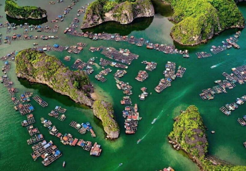 Cat Ba Island-Lan Ha Bay Day Trip: Kayaking, Swimming,Biking - Introduction