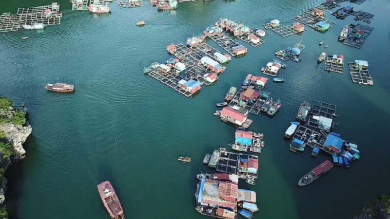 Cat Ba Island - Lan Ha Bay - Ha Long Bay Full Day Tour - An In-Depth Look at the Tour Experience