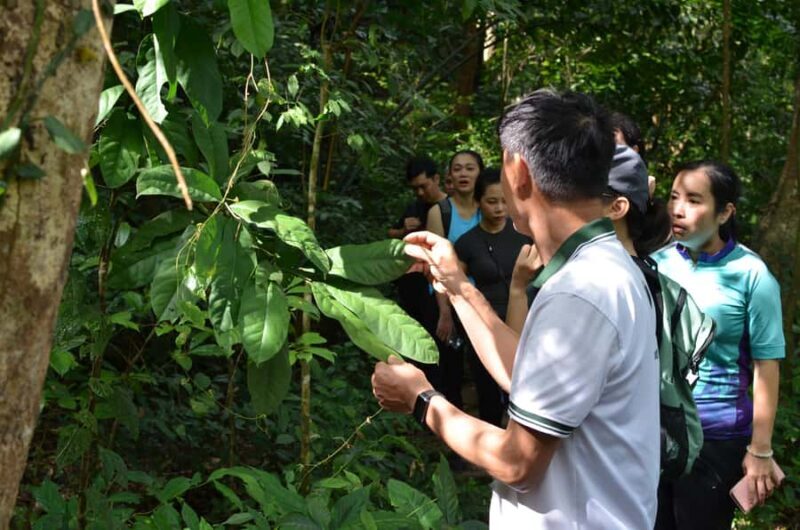 Cat Ba Island: National Park Cycling Tour with Picnic Lunch - Key Points