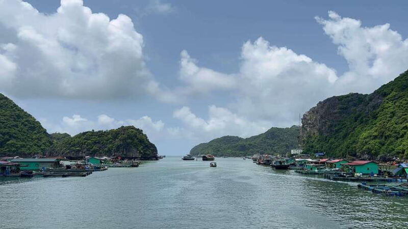 Cat Ba Island National Park Trekking And Lan Ha Bay Kayak - A Detailed Look at the Tour Experience