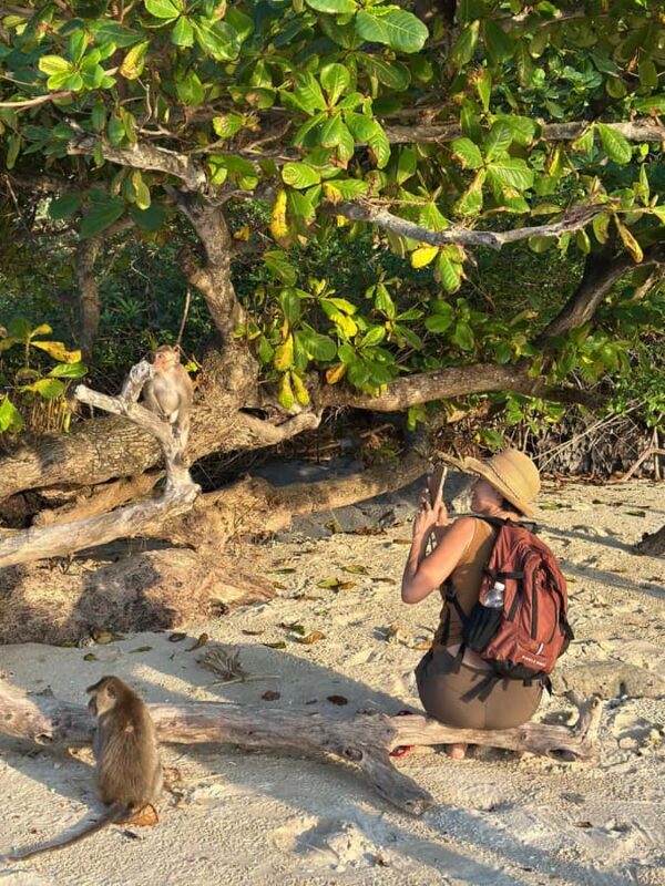 Cat Ba : Lan Ha Bay Boat Tour , Monkey Island and Sunset - Practical Details and Tips