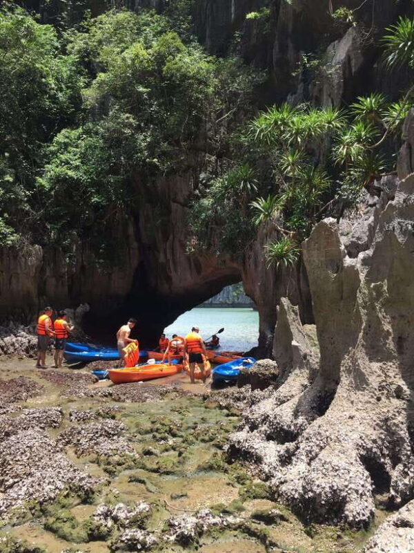 Cat Ba: Lan Ha Bay Full-Day Boat Tour - Overall Value and Who It’s For