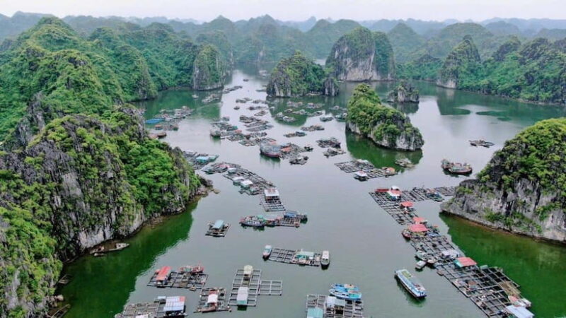 Cat Ba: Lan Ha Bay Halfday Cruise with Kayaking - Who Should Consider This Tour?
