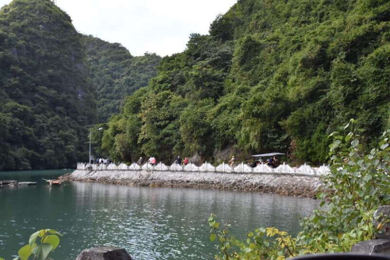 Cat Ba: Lan Ha, HaLong bay full day- biking, kayaking, lunch - The Sum Up